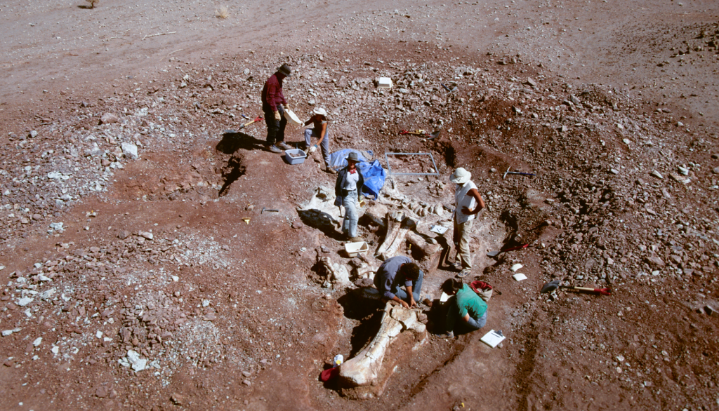 À la découverte de Gadafawa, cimetière des dinosaures - Studio Kalangou ...